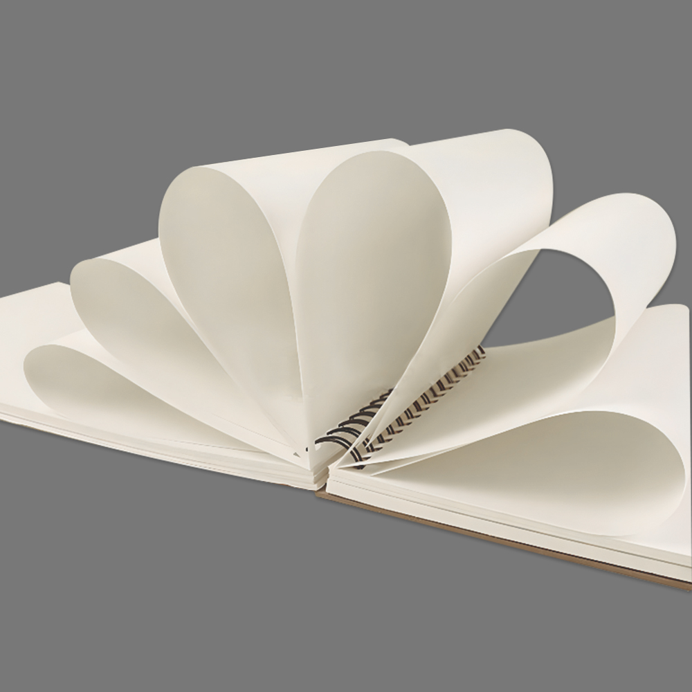 160gsm 30 Sheets Beige Paper Artist Sketchbook Pad (A3 Ring Binding ...